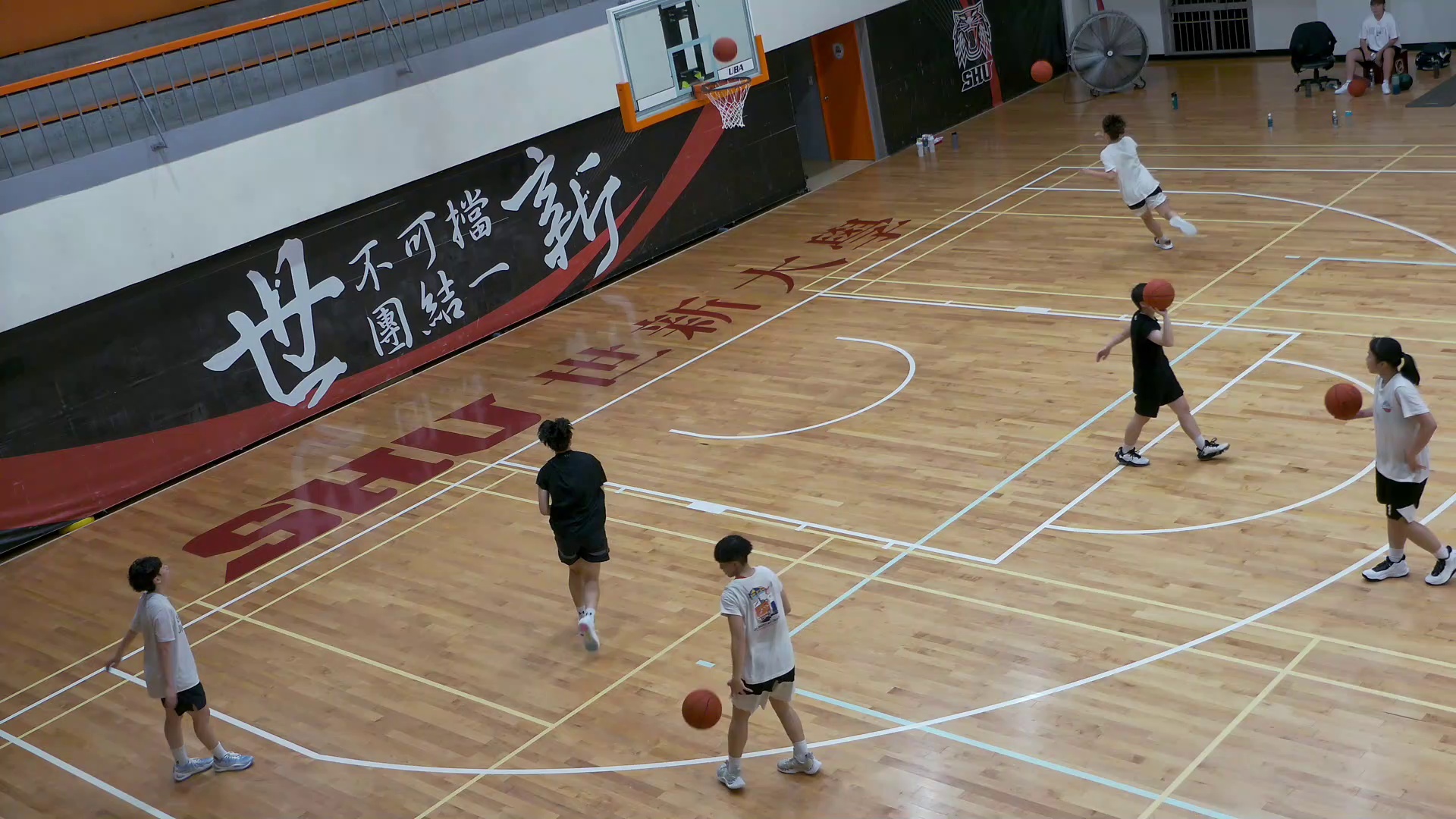 basketball Object Detection Dataset by project-dizcl