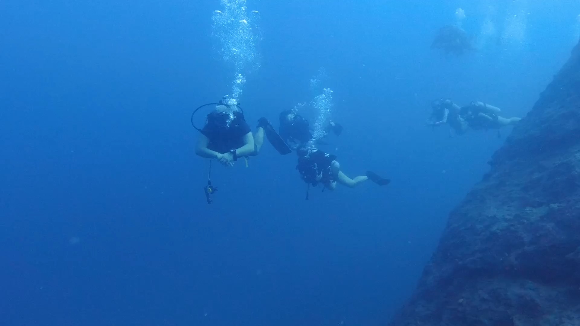 diver detection Object Detection Dataset by aura