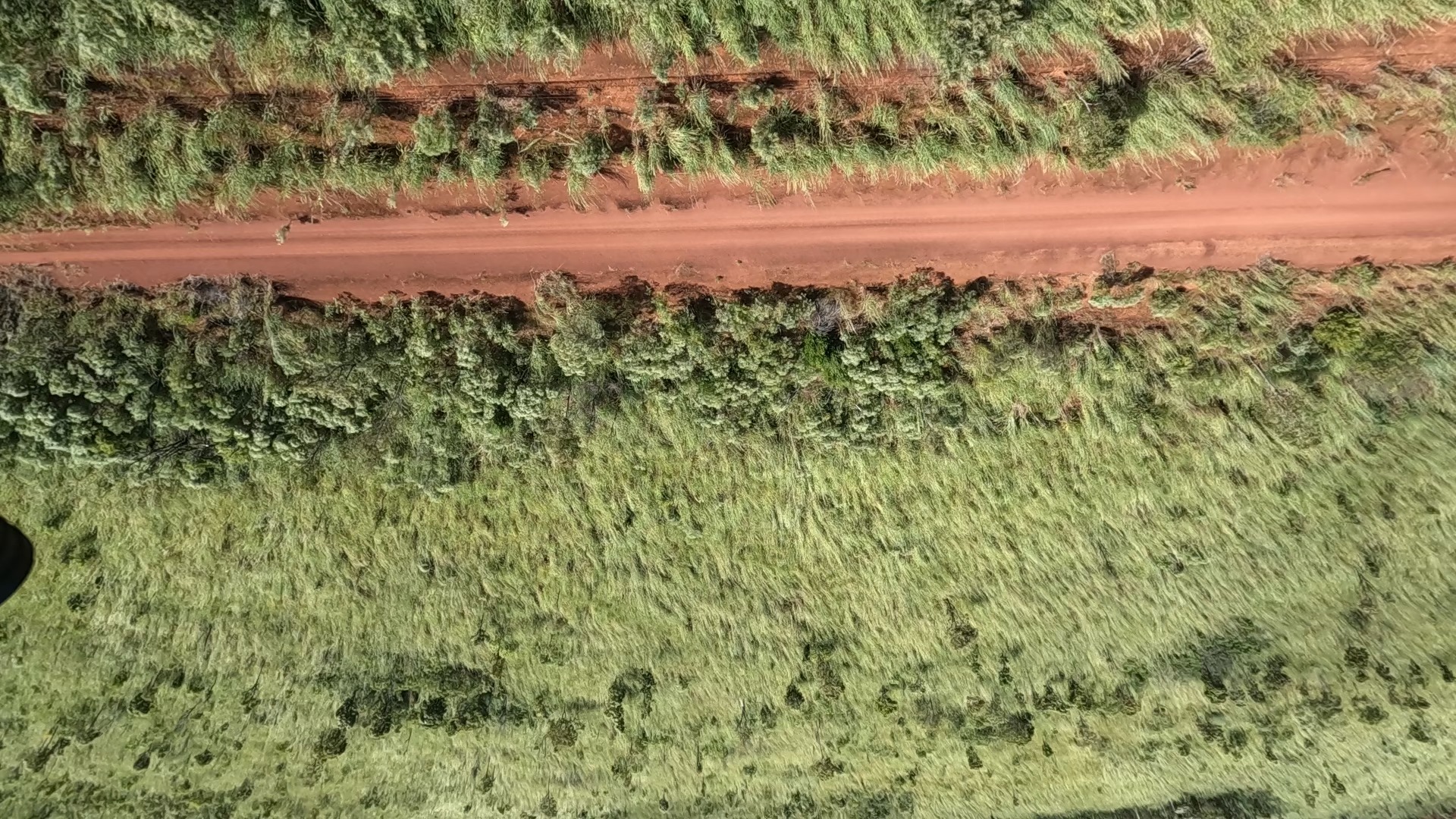 minbin - Roboflow Universe