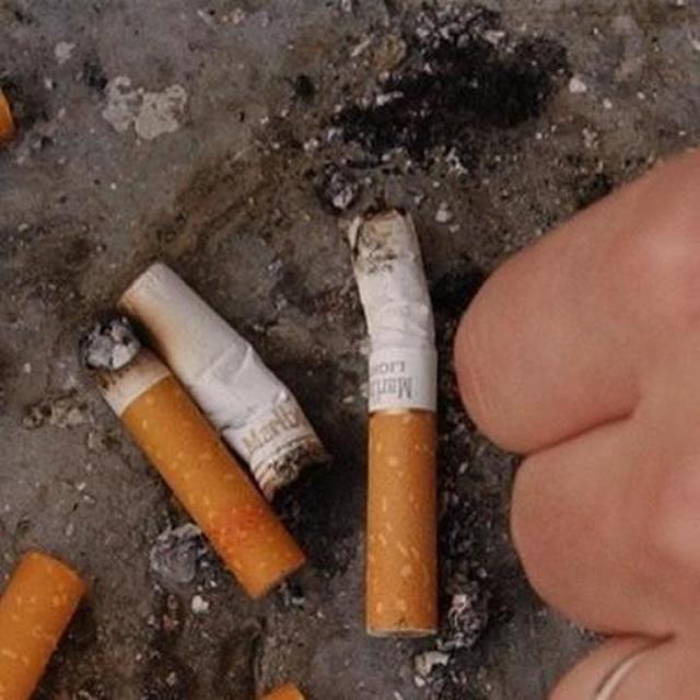 Cigarette Butt Detector Object Detection Model by Deyan Markov