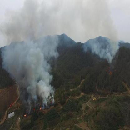 wildfire Object Detection Model by Test0