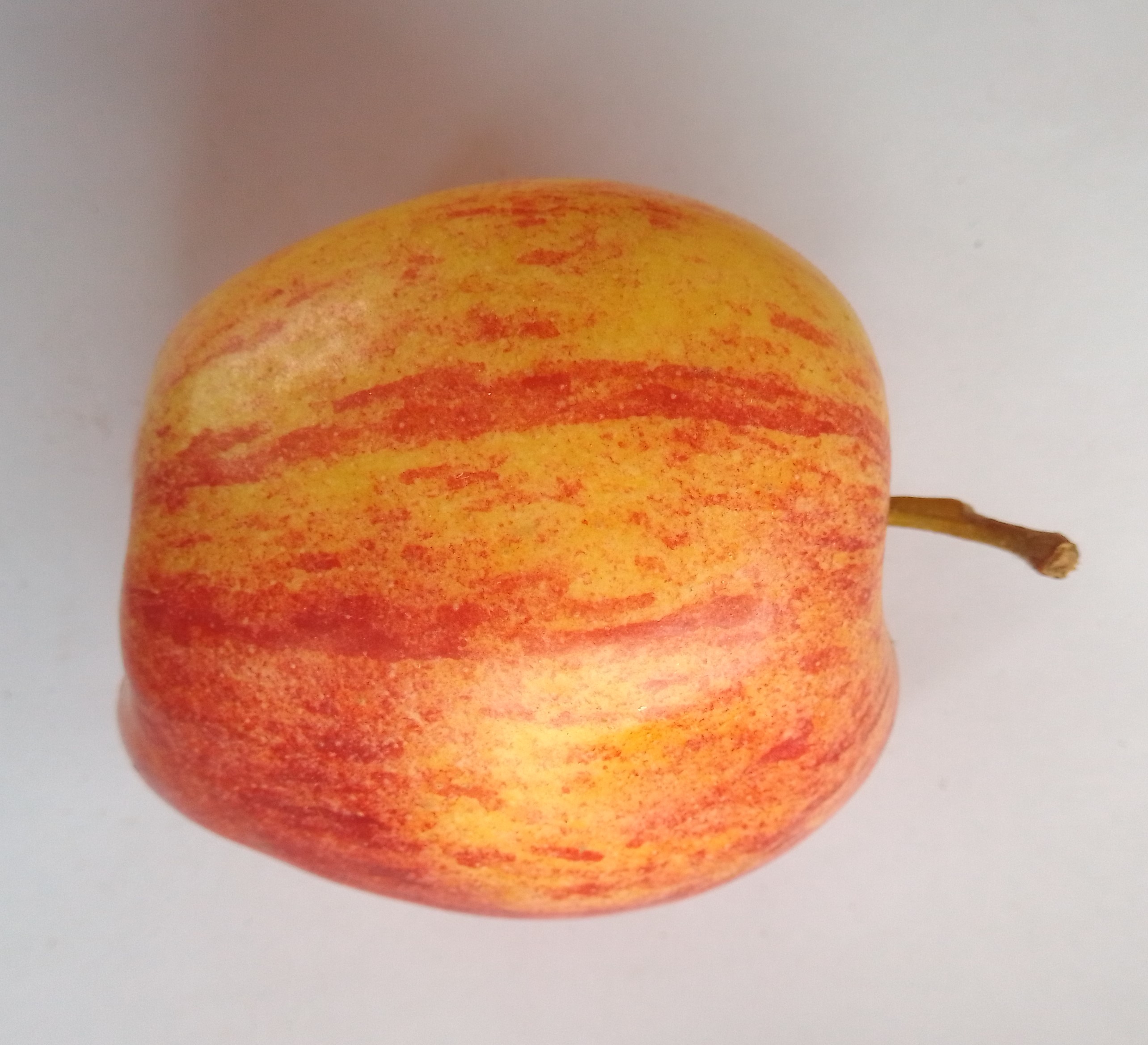 Fruit Freshness Detection Object Detection Dataset by Project TA