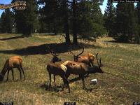 Six Shooter Ranch - Roboflow Universe