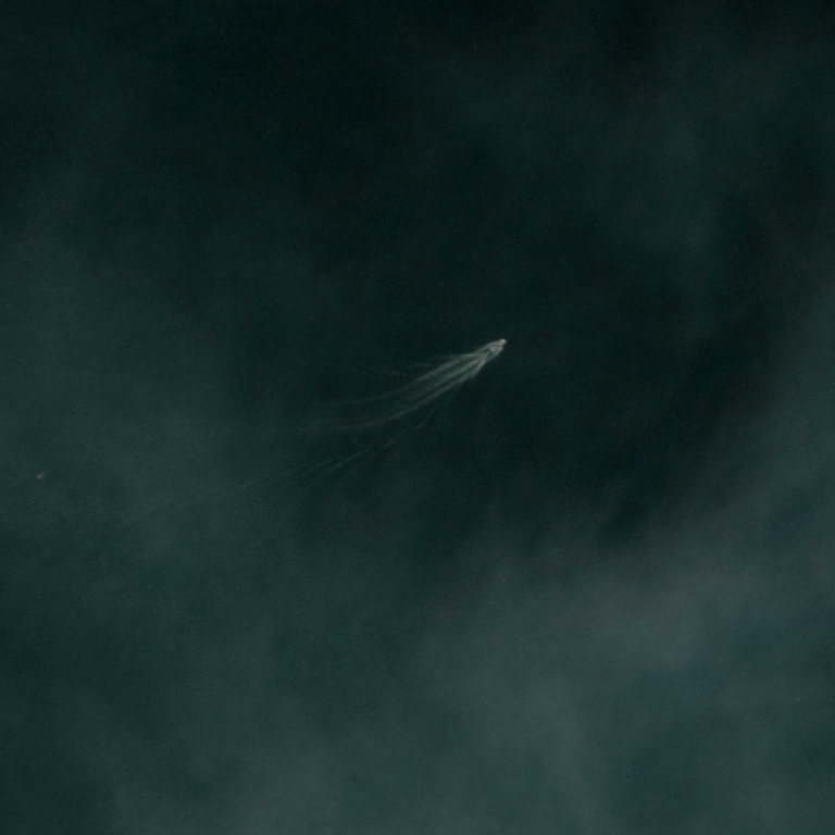 Wake Detection 3 Object Detection Dataset By Arizona State University