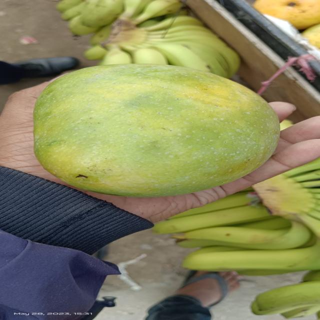 pnl fruit detection Object Detection Dataset by fruit