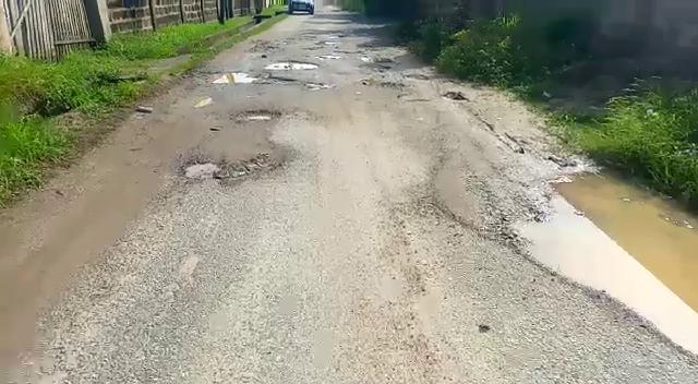 Potholes Detection Object Detection Dataset and Pre-Trained Model by Potholes Detection