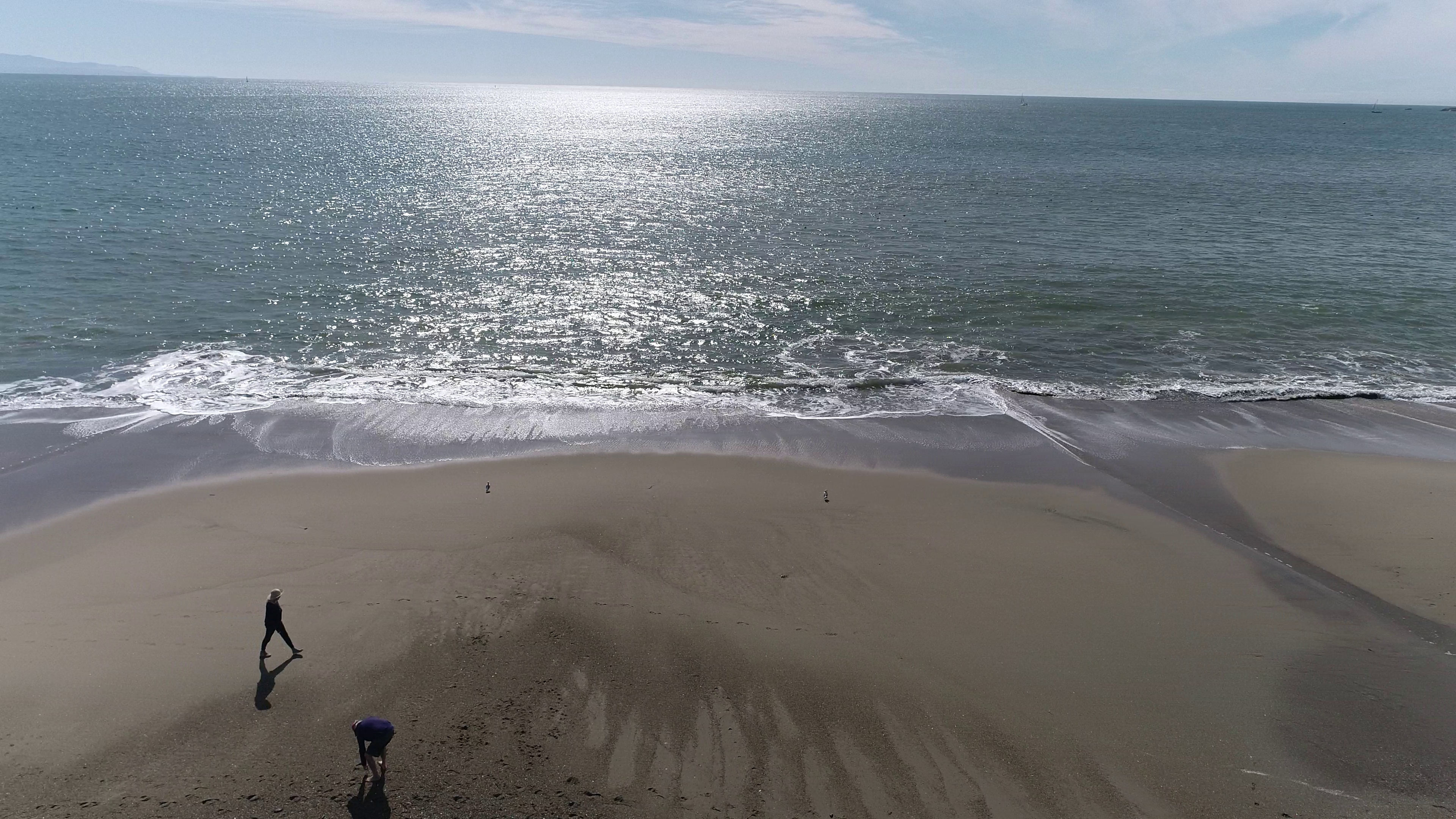 ripfinder-levi Object Detection Dataset by ripObject