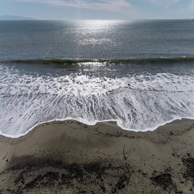 ripfinder Object Detection Dataset by ripObject