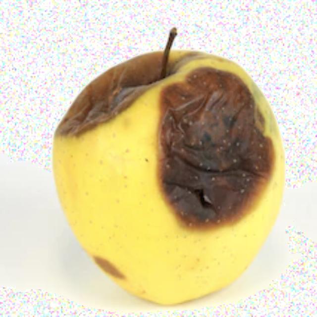 InstanceFruits Instance Segmentation Dataset by Cyan Space