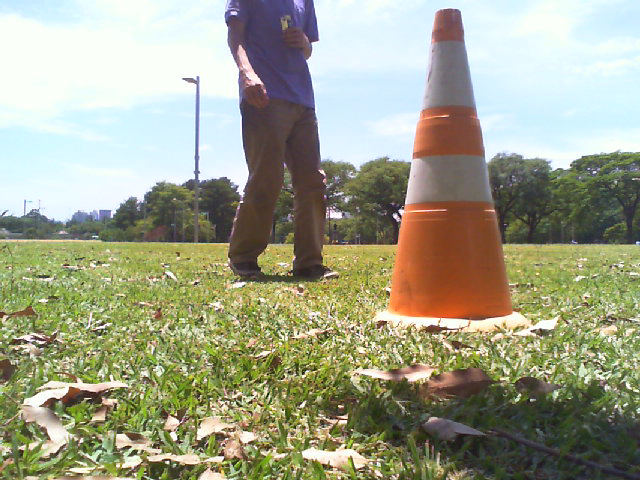 traffic-cone Object Detection Dataset by Elizabeths Workspace