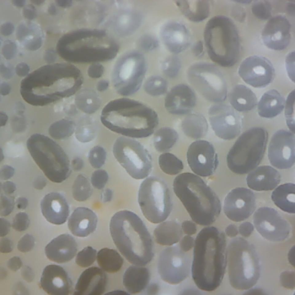 FiberMult_v1_parte5_color Instance Segmentation Dataset by IdeaLab