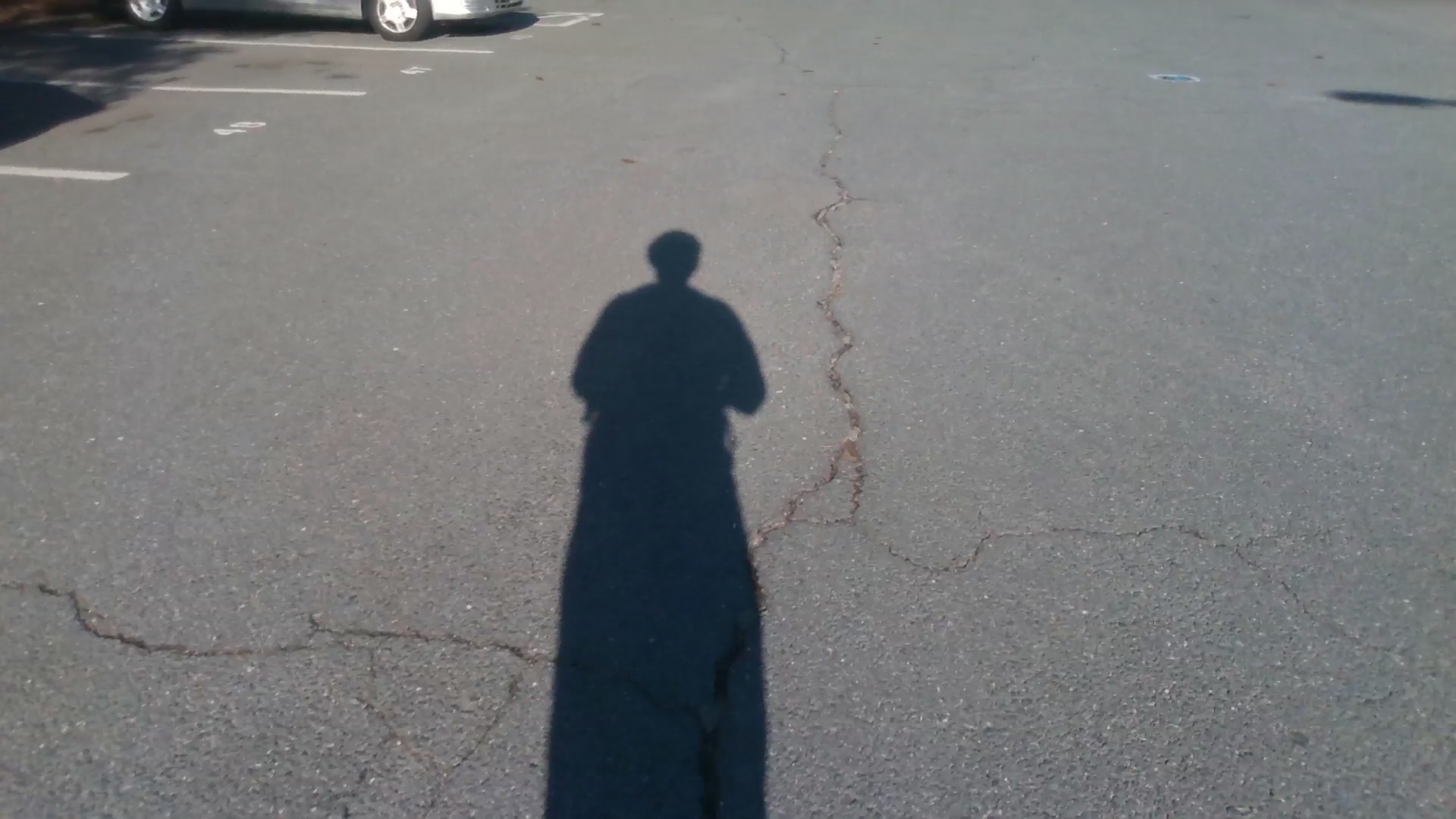 Scooter Dataset Instance Segmentation Dataset And Pre Trained Model By