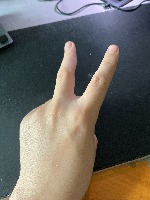 Hand Detection Object Detection Dataset by catwithawand