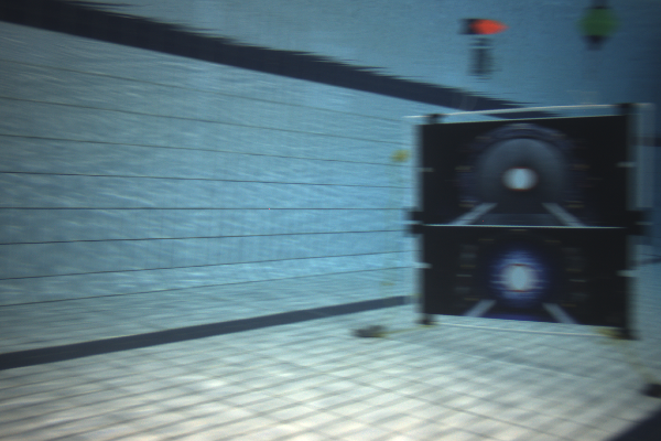 Competition Weights Object Detection Dataset by Robosub