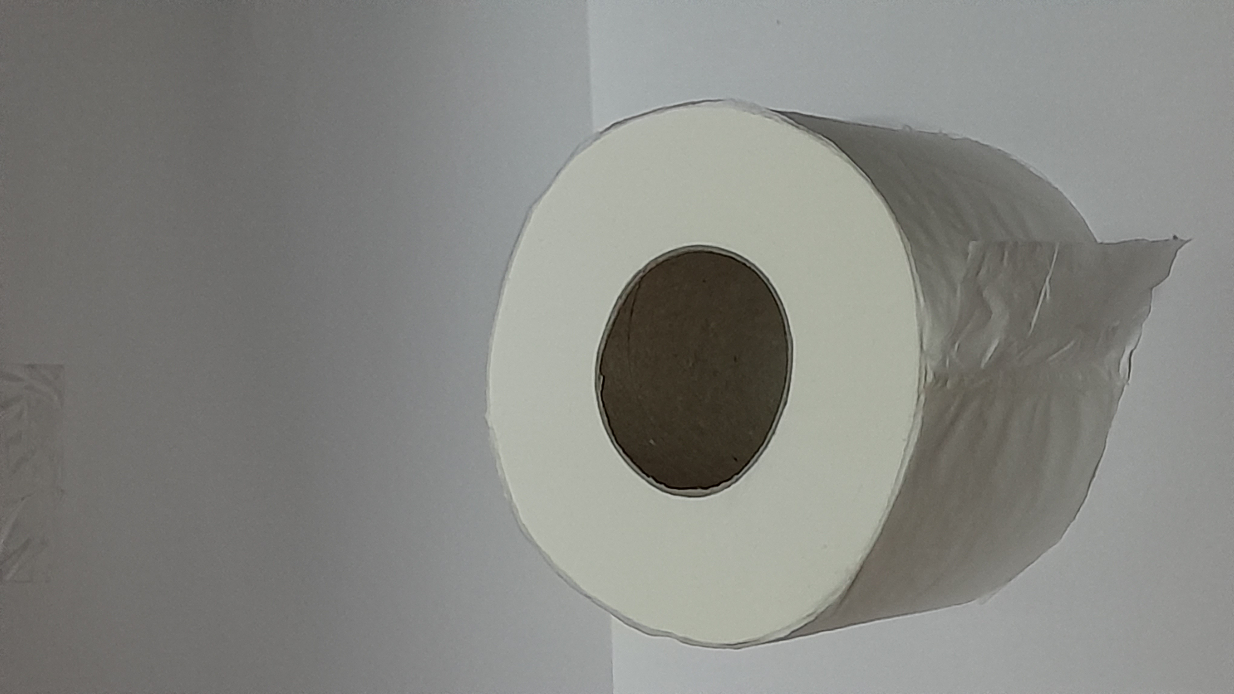 Toilet Paper Object Detection Dataset by MOMO