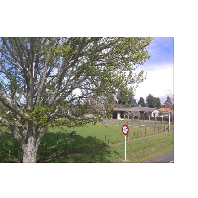 7 Species Object Detection Dataset By Waikato University