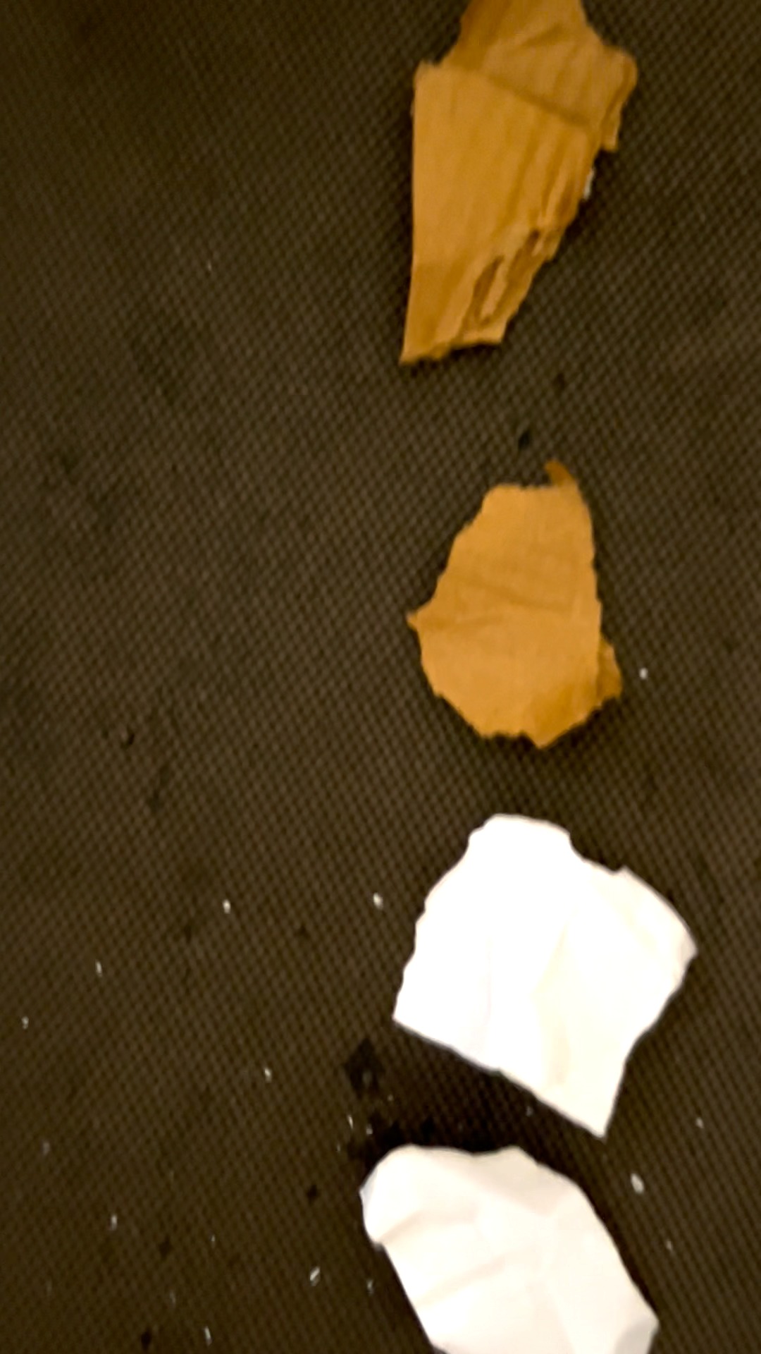 egg classification Object Detection Dataset by Kamatchi