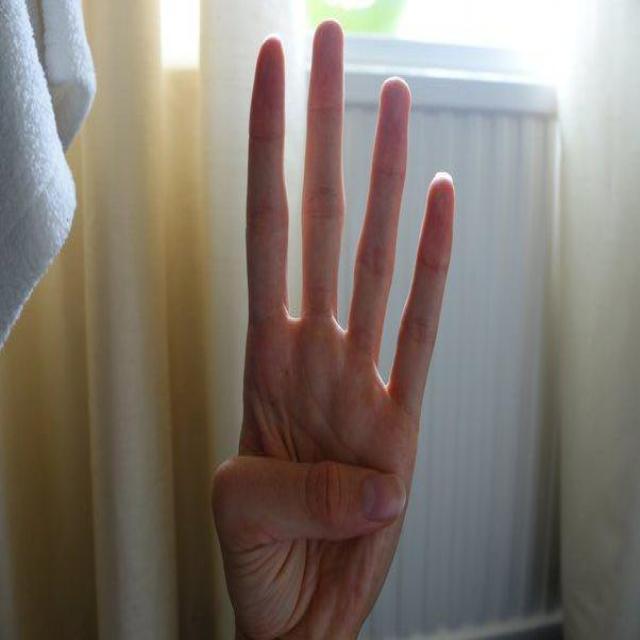 Hands Object Detection Model by Sample