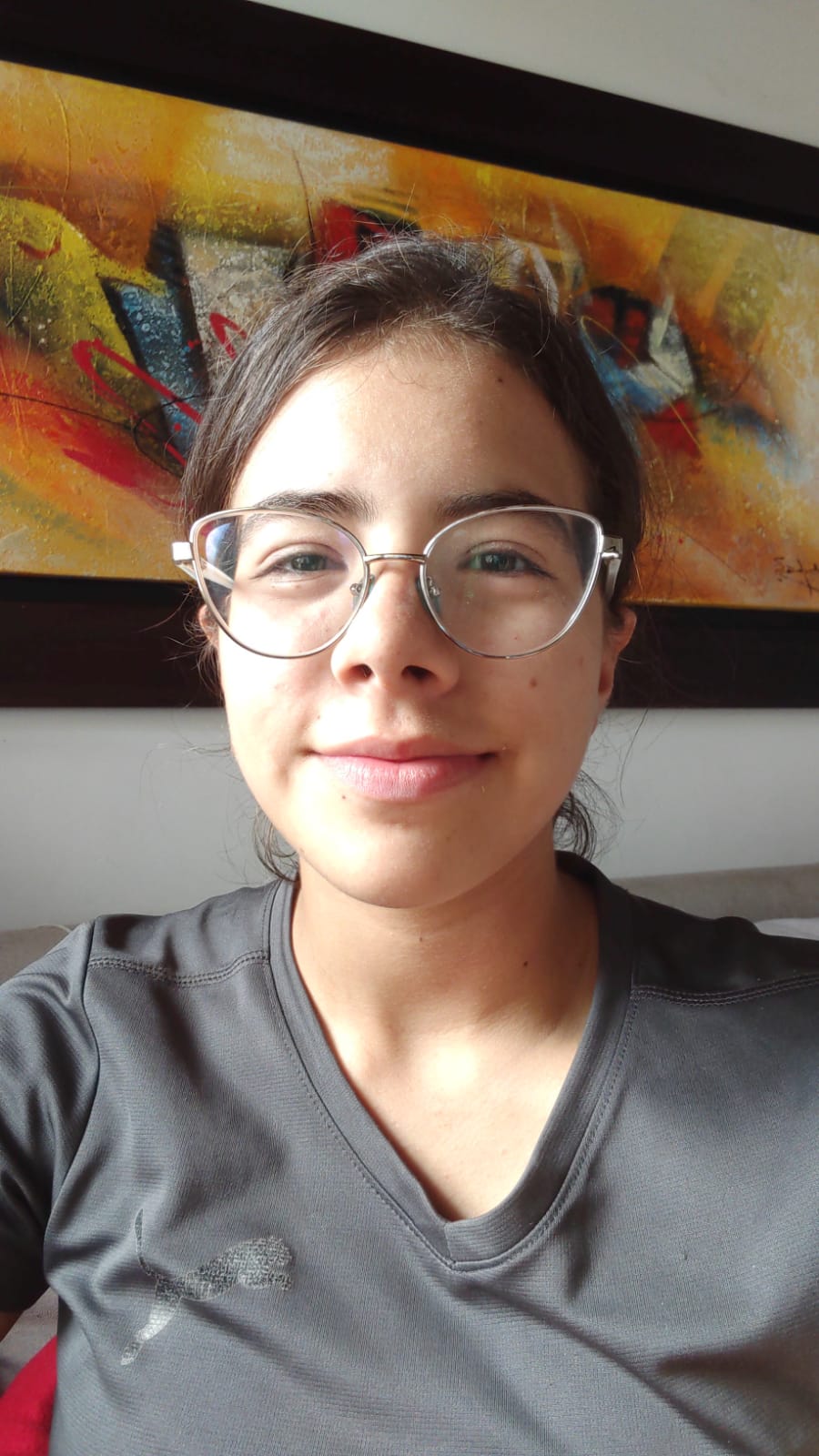 PDI_Expressions Object Detection Dataset and Pre-Trained Model by RNA y Deep Learning