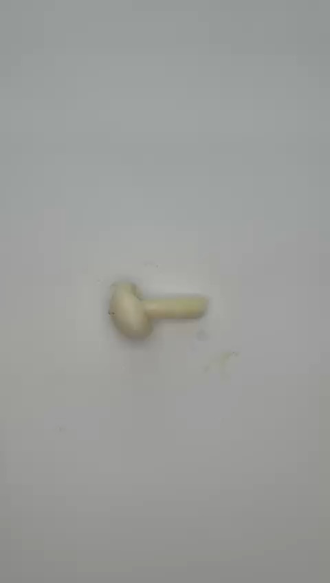 task2 Object Detection Model by task2