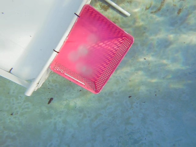 RoboSub YOLO Object Detection Dataset by RoboSub YOLO