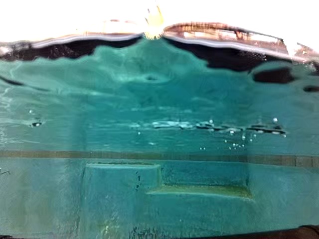 RoboSub YOLO V2 Object Detection Model by RoboSub YOLO