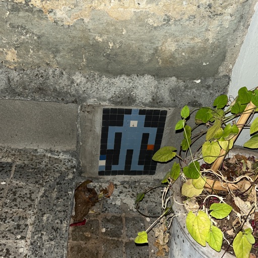 popo le cool - Roboflow Universe