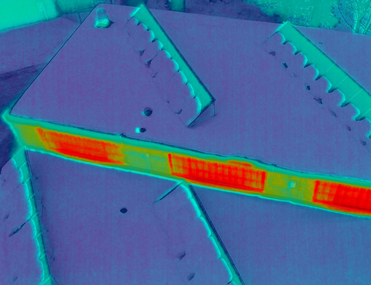 Thermal_Zoe Instance Segmentation Dataset by Zoe Mazurkiewicz