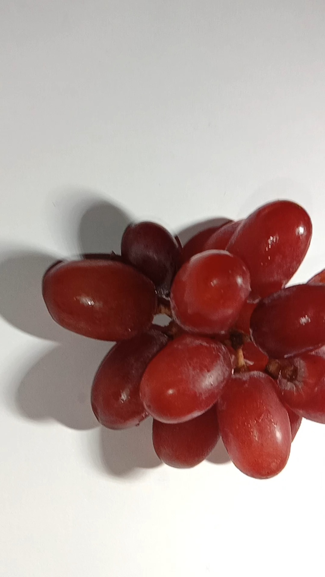 for yolo Object Detection Dataset by My Workspace