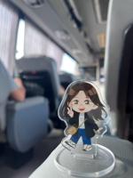 classification (classification-2wh4v) - Roboflow Universe