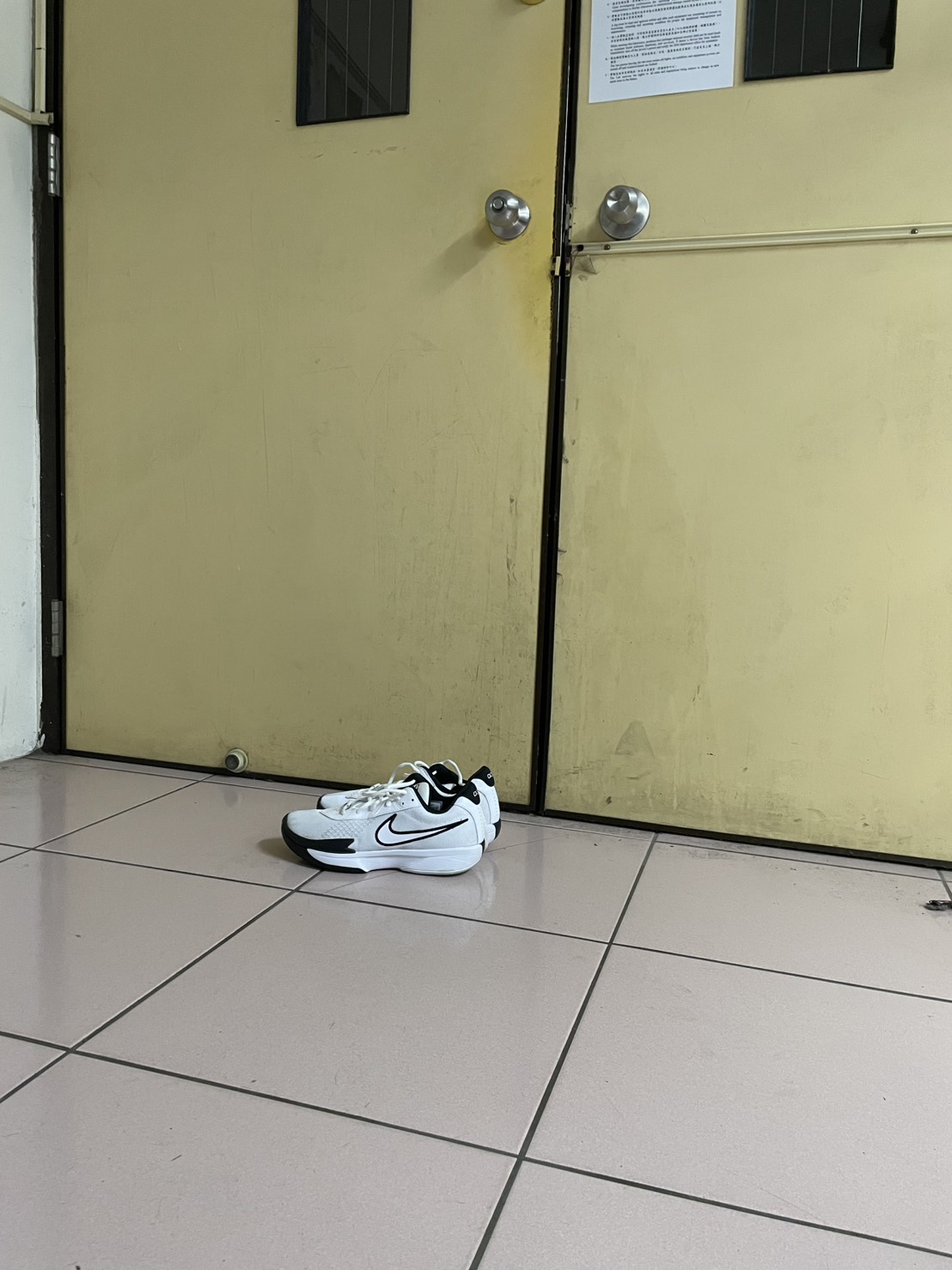 Object Shoe Object Detection Dataset And Pre Trained Model By