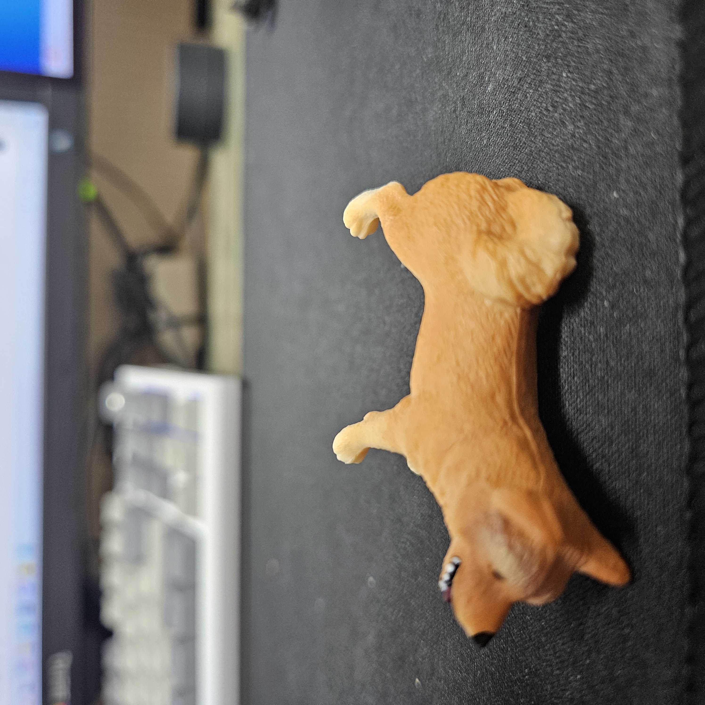 Dog Figure Detection (100) Object Detection Dataset by Workspace