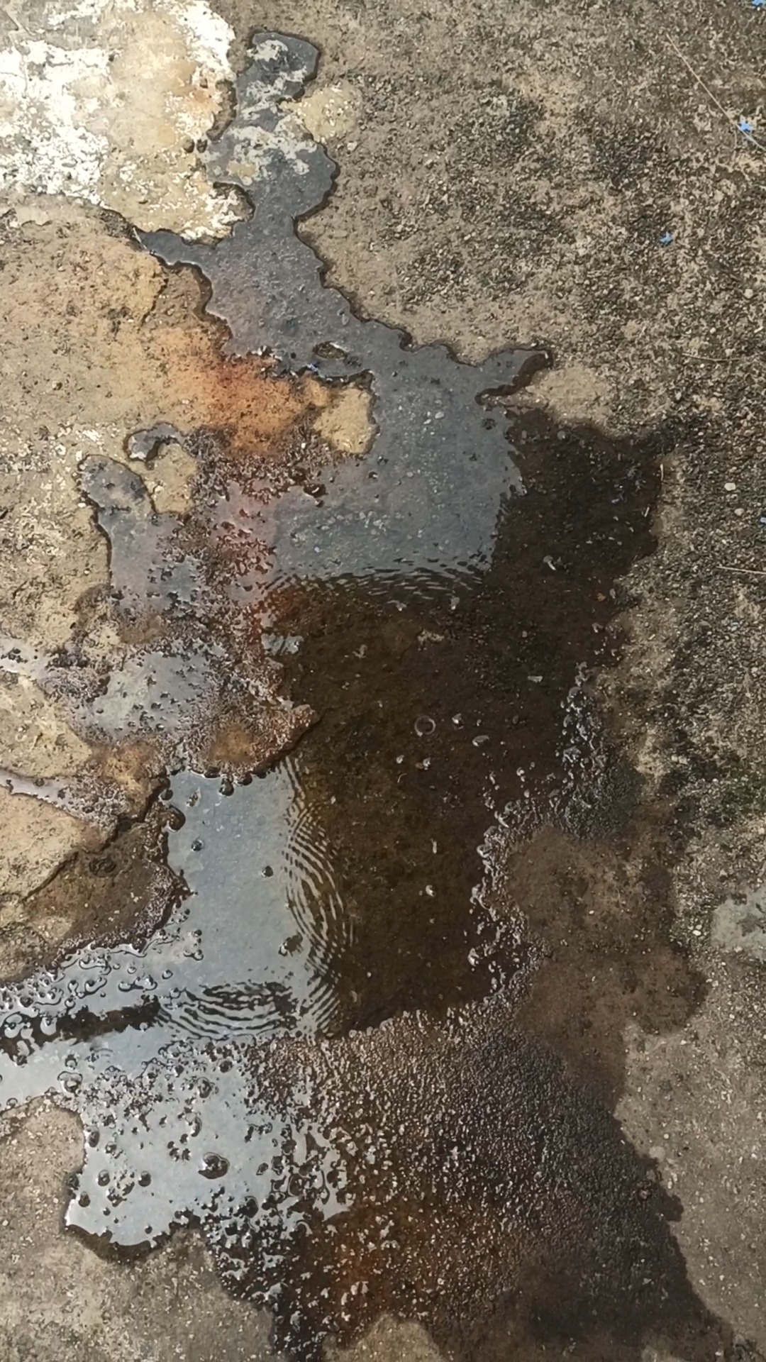 Flood Detection Object Detection Model By Flood Detection