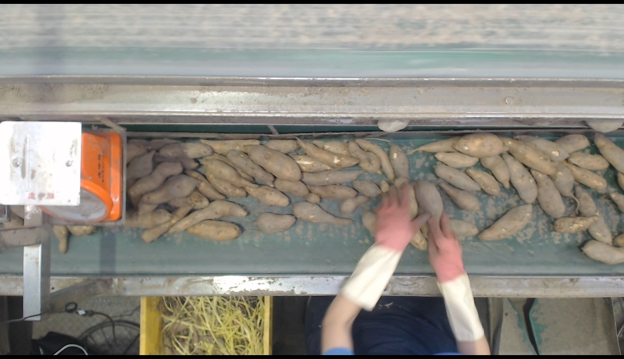 Computer Vision (computer-vision-uajnf) - Roboflow Universe