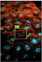 TECHSHADOW - Roboflow Universe