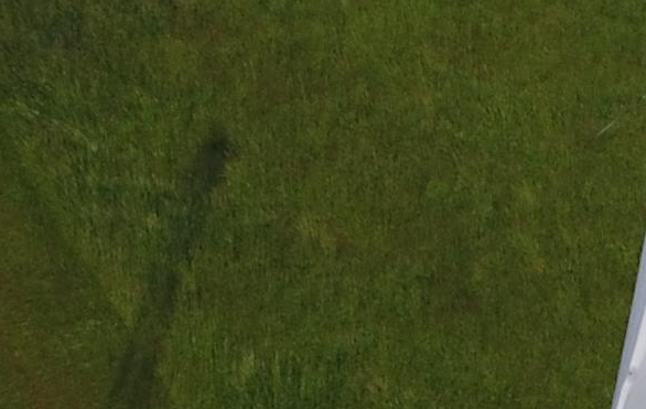 Blade Damage Detector Object Detection Dataset by NeuralProject