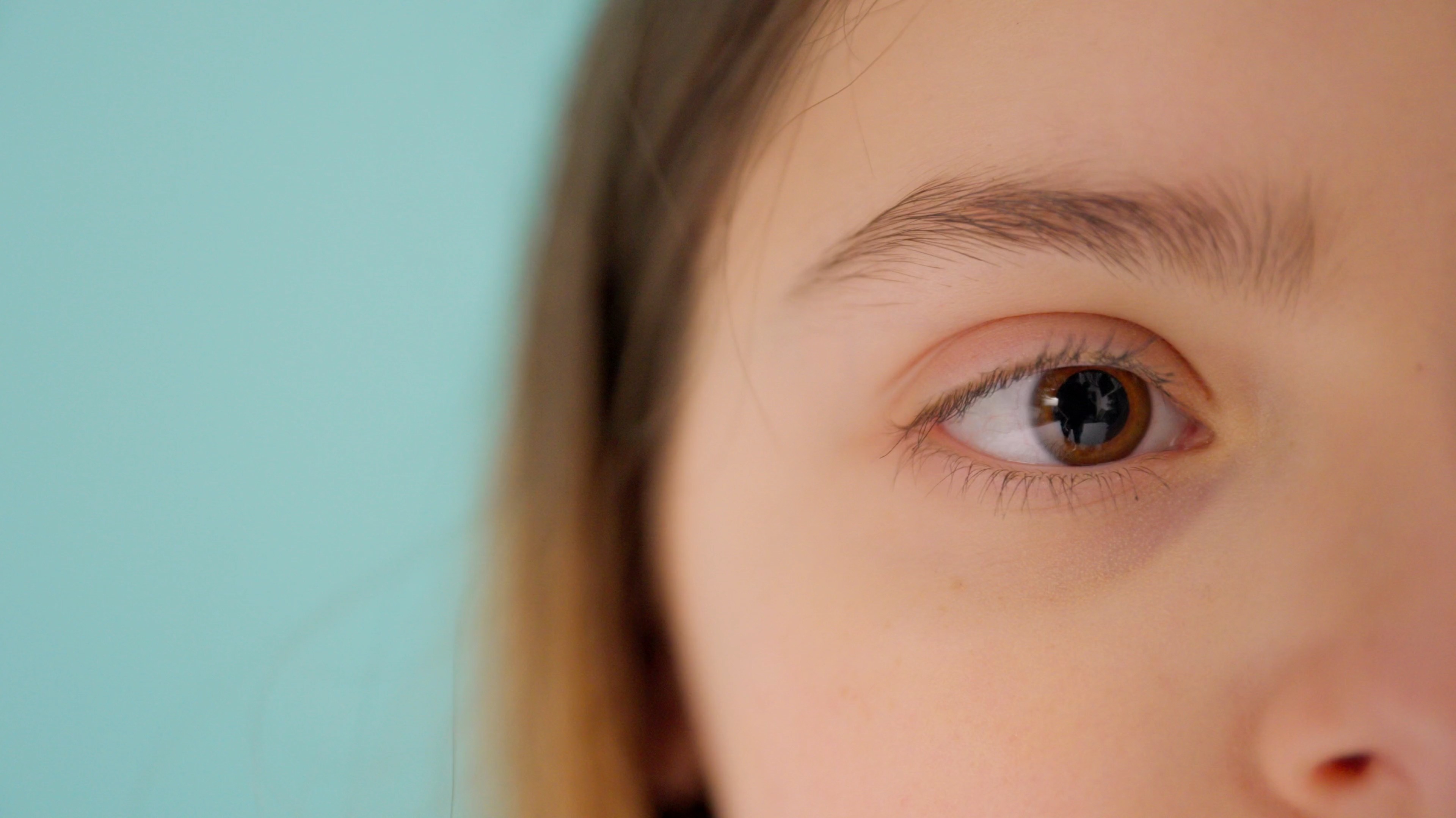 iris-and-pupil Instance Segmentation Dataset by basketball