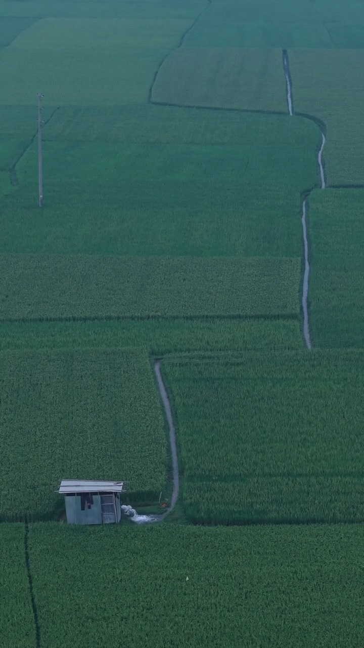 Smart Field Monitoring Instance Segmentation Dataset by basketball