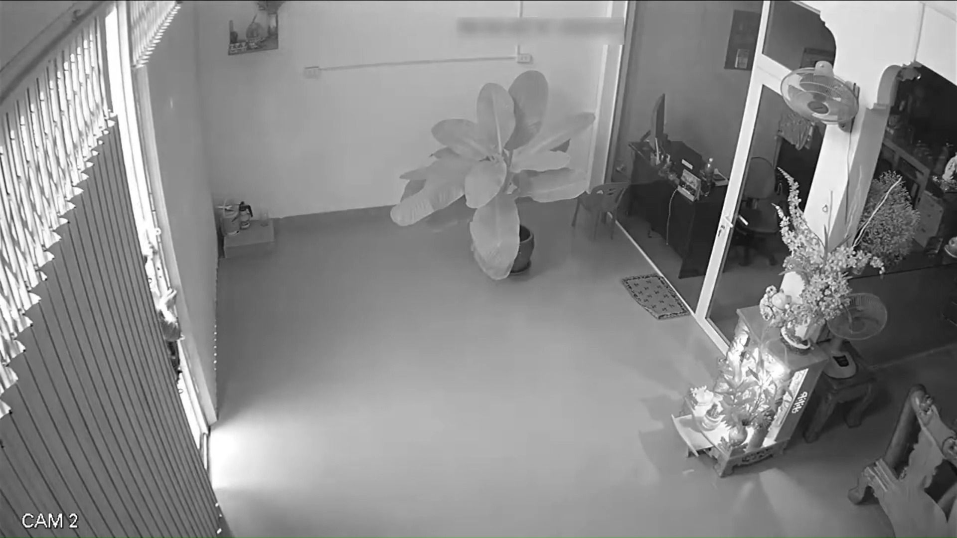 person Object Detection Model by Yuvraj