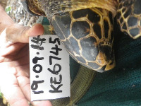 Daniel Busch (daniel-busch-2uwdr) - Roboflow Universe