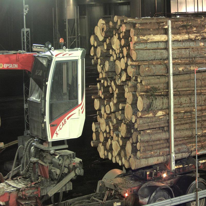 Log_detection Object Detection Model by Timber