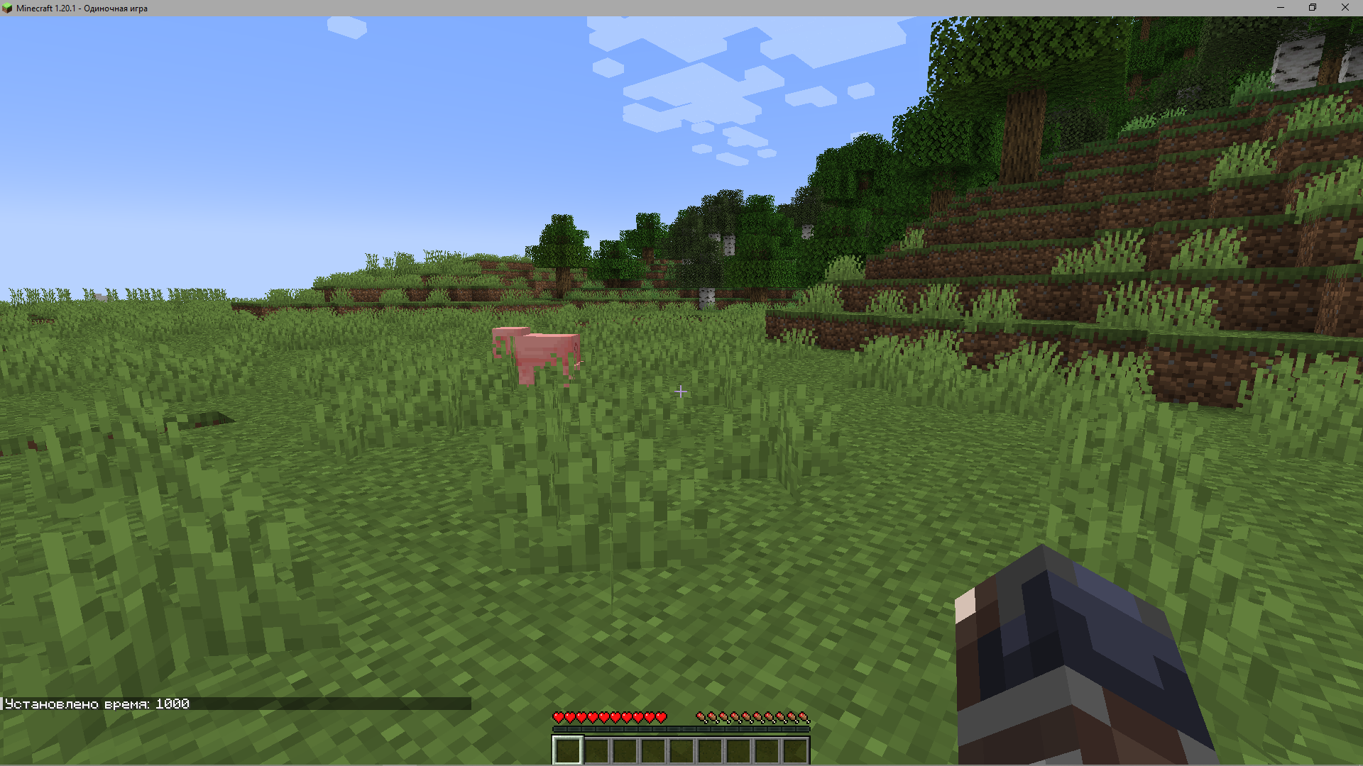 Minecraft Animals Object Detection Dataset by ByteWIzard