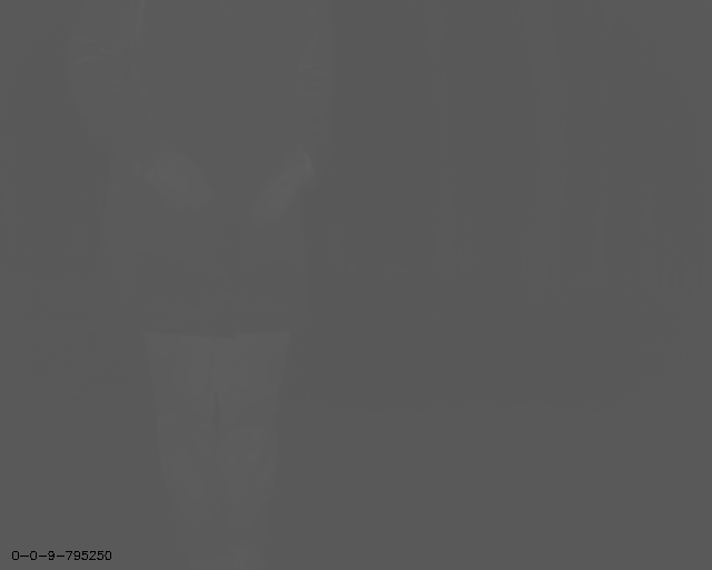 My First Project Object Detection Dataset By Yue