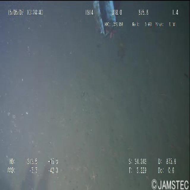 Health Check Object Detection Dataset by Thesis Paper