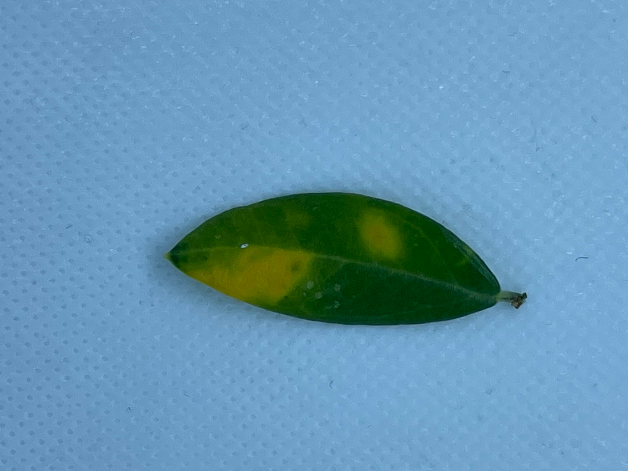 projects (projects-setdn) - Roboflow Universe