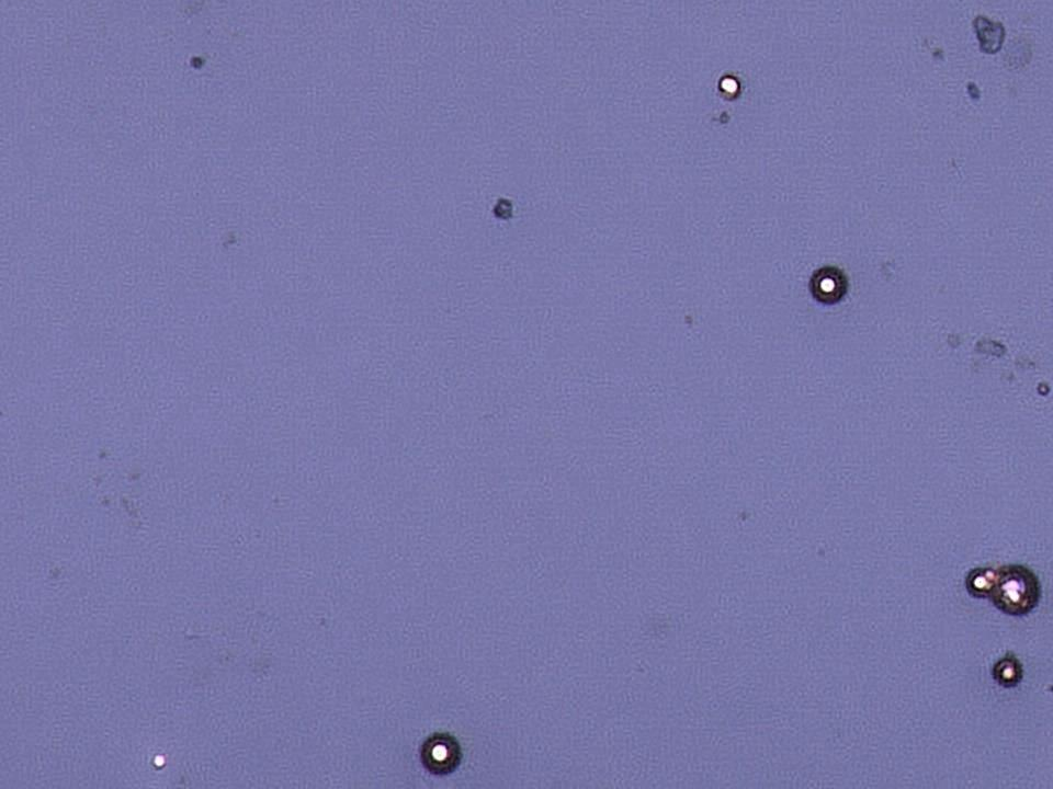 Cu Particle with Glass Substrate Object Detection Dataset by Akibul ...