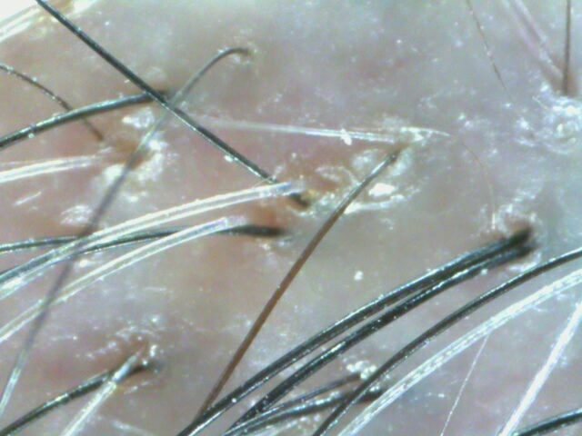 Joo (joo-vkfw9) - Roboflow Universe