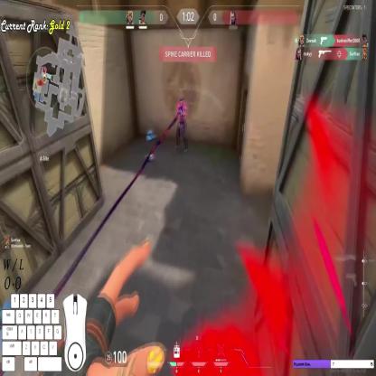 Valorant Object Detection Model by erfw