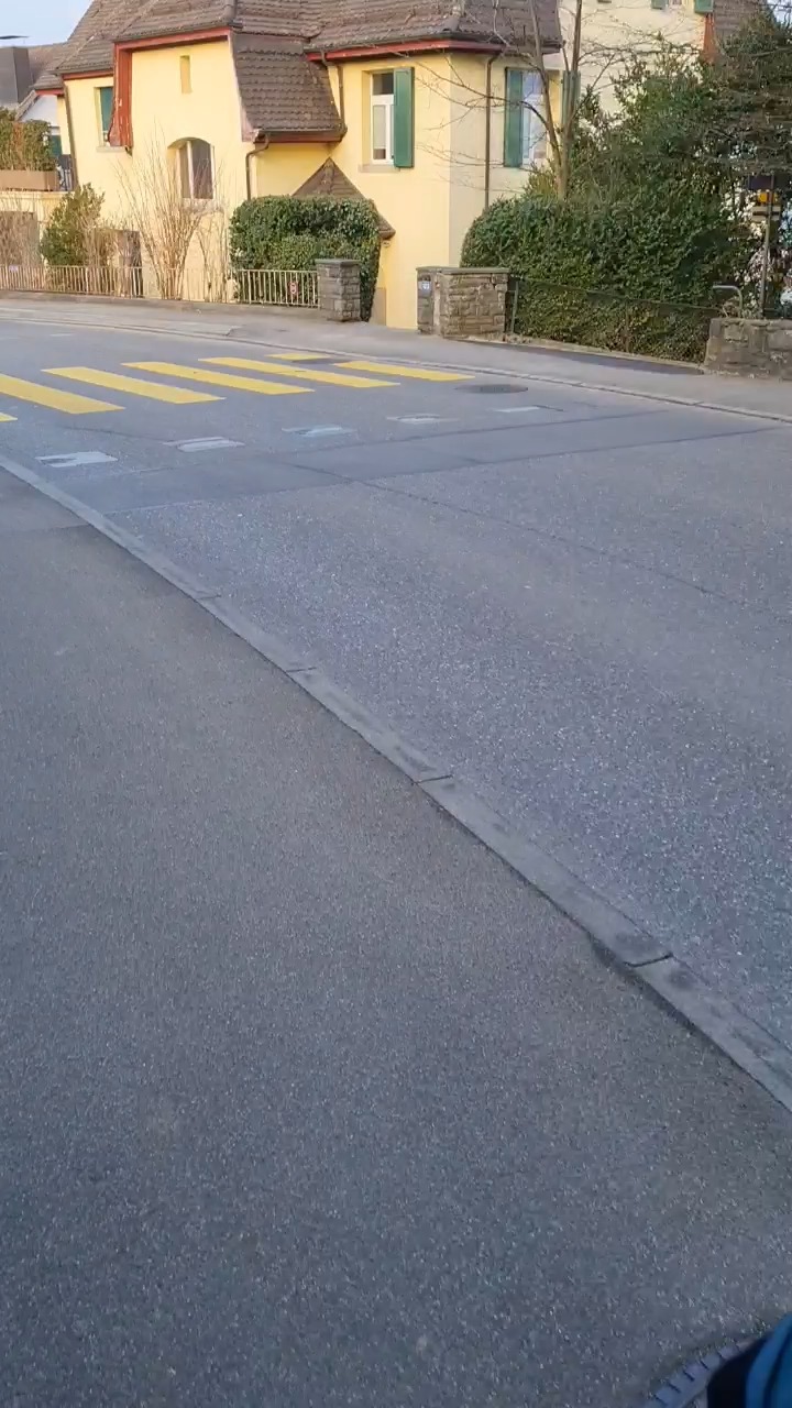 Streets and Crosswalks Object Detection Dataset and Pre-Trained Model by Dikshitaworkspace