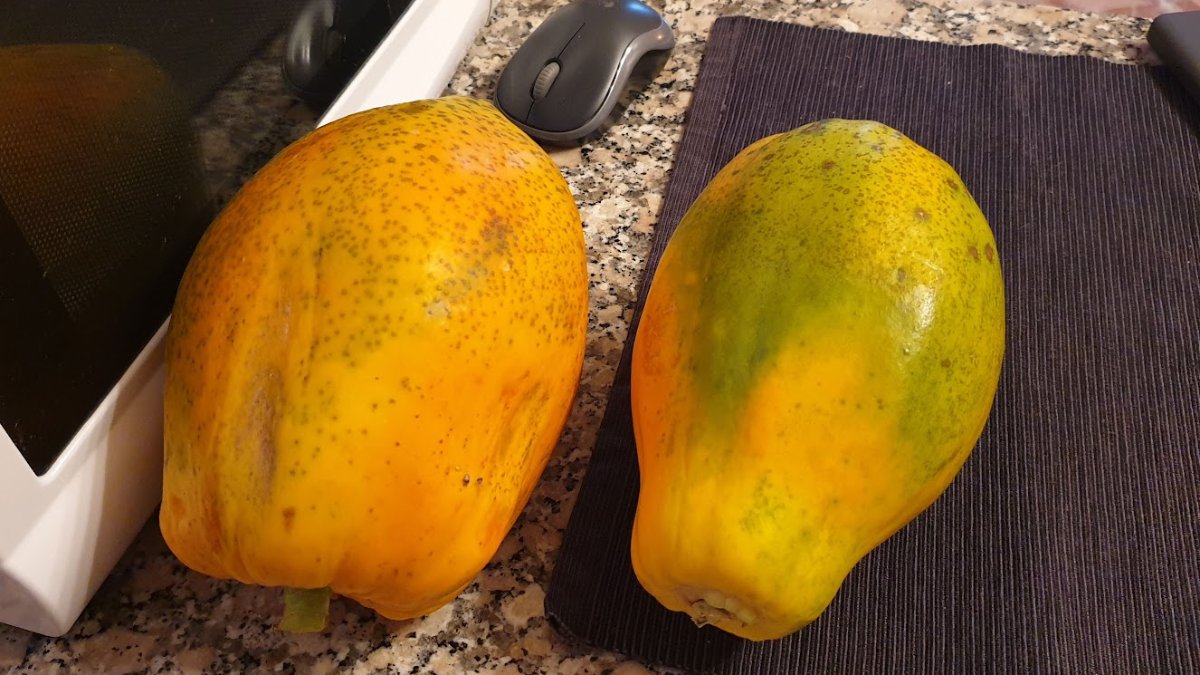 Fruit Items Object Detection Model by Itemdetection